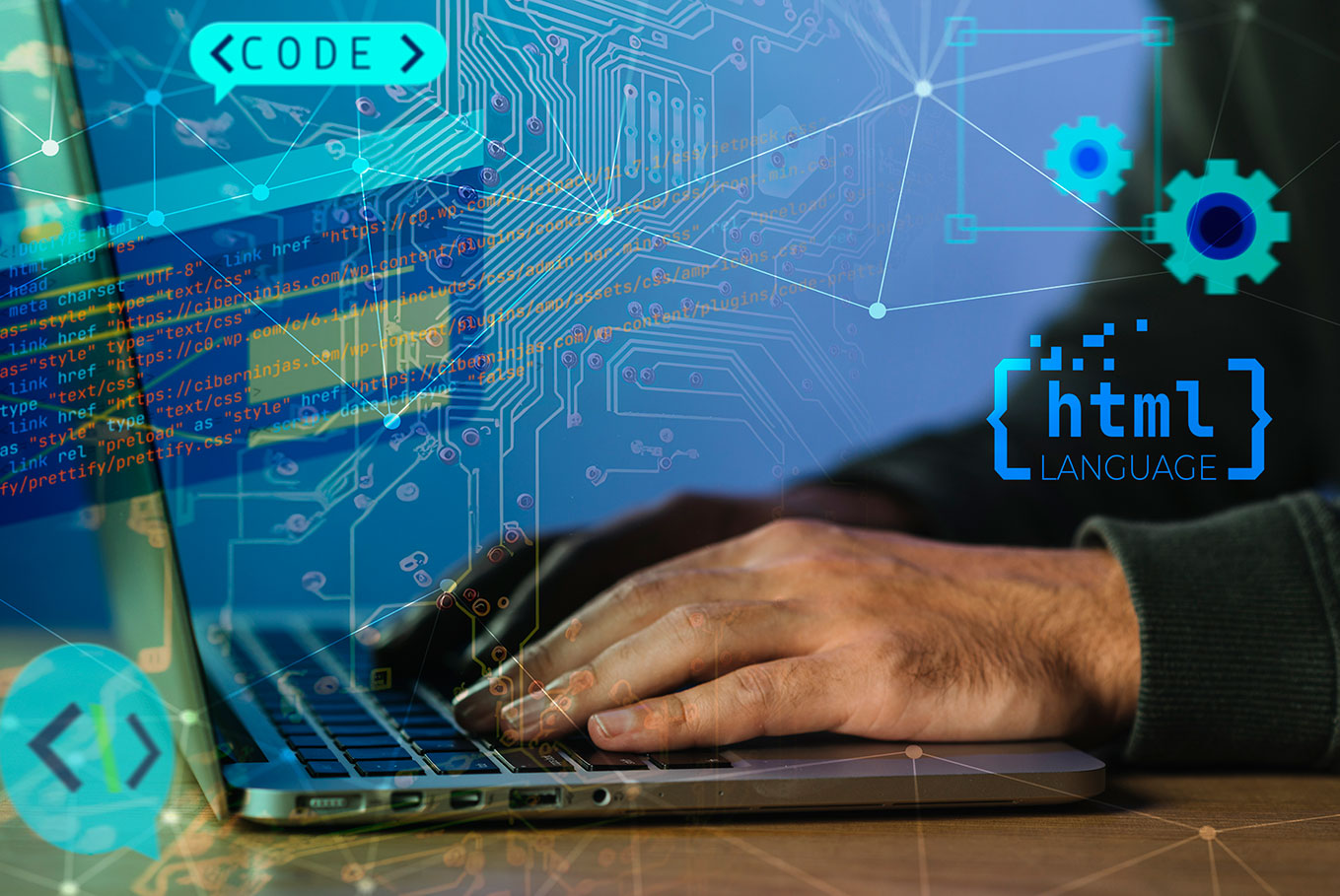 IDS Academy | Our Programs